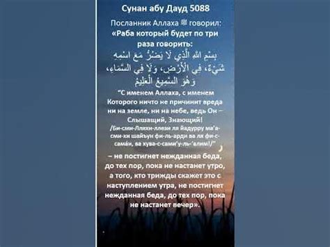 Вечером три раза. Сунан абу Дауд 5088 - YouTube