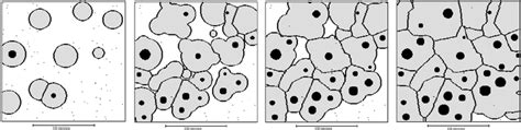 Model Output Of Microstructure Evolution Of Eutectic Sg Iron During Download Scientific Diagram