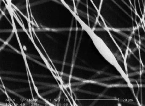 Electron Micrograph Of Variable Diameter Formation In Electrospun Download Scientific Diagram