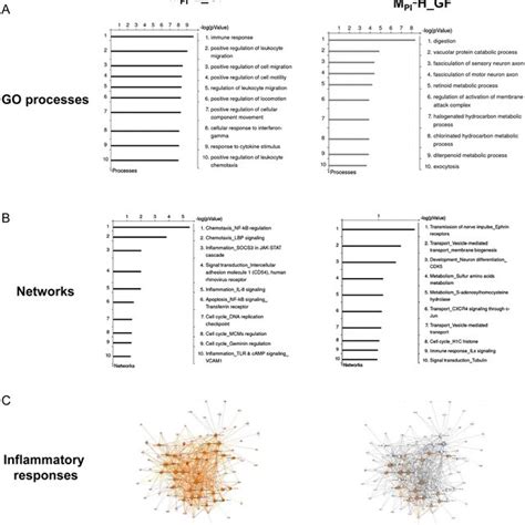 Metacore Gene Enrichment Analysis Of Ileum Microarray Data Representing
