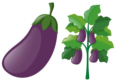 Eggplants On The Tree 368847 Vector Art At Vecteezy