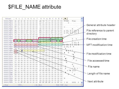 The FILE NAME Attribute