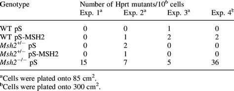 Spontaneous Mutation Frequency At The Hprt Locus Download Table