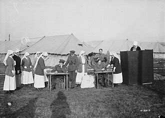History Of Nursing Wikipedia