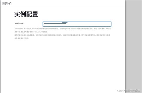 宝塔 docker jenkins部署vue项目（保姆级教程） 宝塔 docker csdn博客