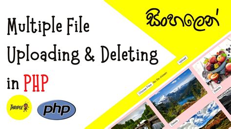 Php Programming 24 Upload Multiple Files And Delete Those Files