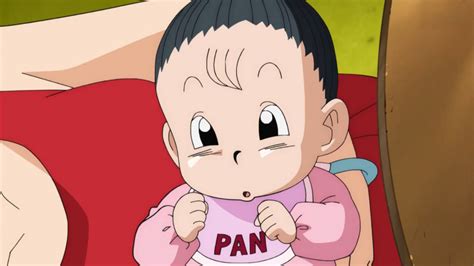 Pan Dragon Ball Wiki Fandom