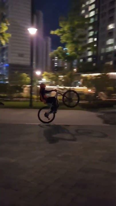 윌리 길게 하고 싶다 뭐가 문제지 Youtube