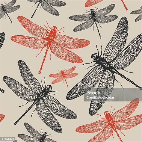 잠자리 연속무늬 양치식물 식물학 배경기술 벡터 일러스트레이션 잠자리에 대한 스톡 벡터 아트 및 기타 이미지 잠자리 일러스트레이션 판화 일러스트레이션 기법 Istock