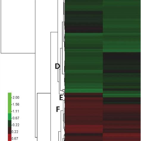 Clustering Of Differentially Expressed Proteins The Log2 Transformed