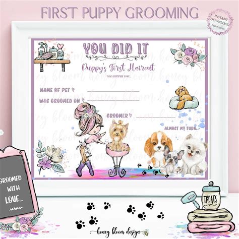 My First Haircut Groomer Certificate Three Designs Included First