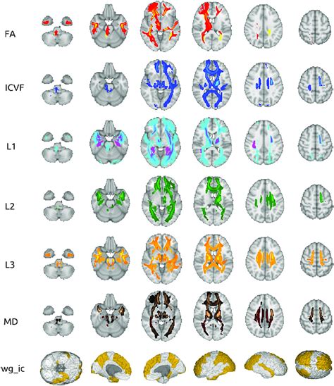 Visual Representation Of The Significant Idps Among The Seven Most Download Scientific Diagram