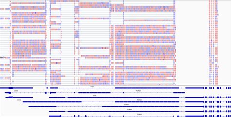 how to filter the merged transcripts · issue 351 · gpertea stringtie