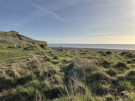 Bexhill Museum On Twitter Lots Of People About This Morning But Still