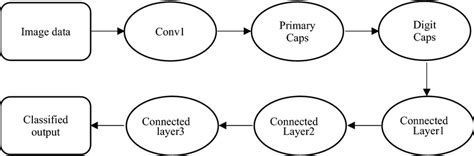 The Capsule Neural Network Model For Identifying Lung Cancer Download Scientific Diagram