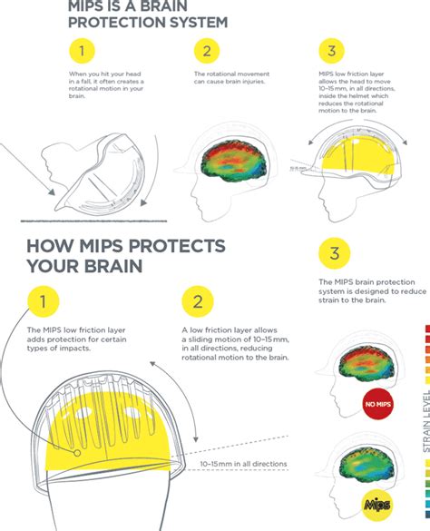 What Is Mips Ride EquiSafe