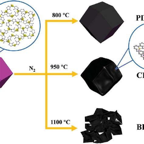 Schematic Illustration Of The Synthesis Procedure Of Pdcs Cdcs And Bdcs Download Scientific