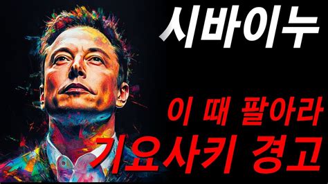 시바이누 이 때 팔아야 살 수 있습니다 Youtube