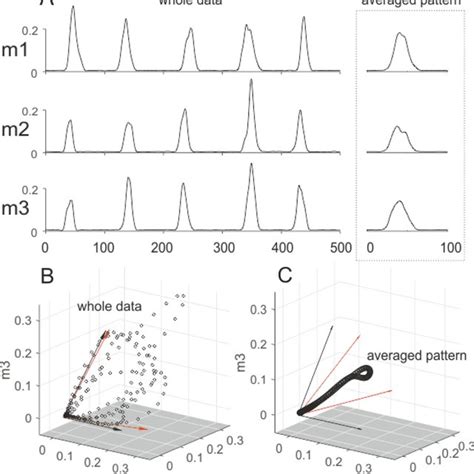 Synergy Analysis Steps Muscle Synergy Analysis Consists Of Identifying Download Scientific