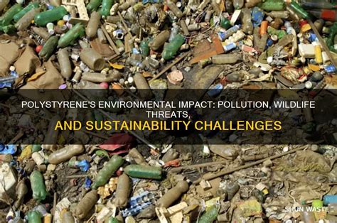 Polystyrenes Environmental Impact Pollution Wildlife Threats And Sustainability Challenges