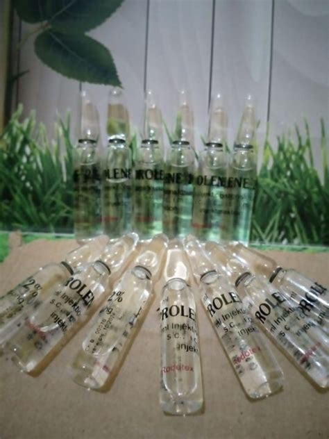 Prolene Ecer Prolen 10 Ampul Lazada Indonesia