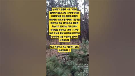 머지막장미 나훈아 Youtube