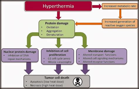 Low Body Temperature Symptoms And Causes And How To Treat It