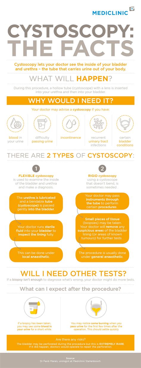 What To Expect Cystoscopy Infographic Mediclinic