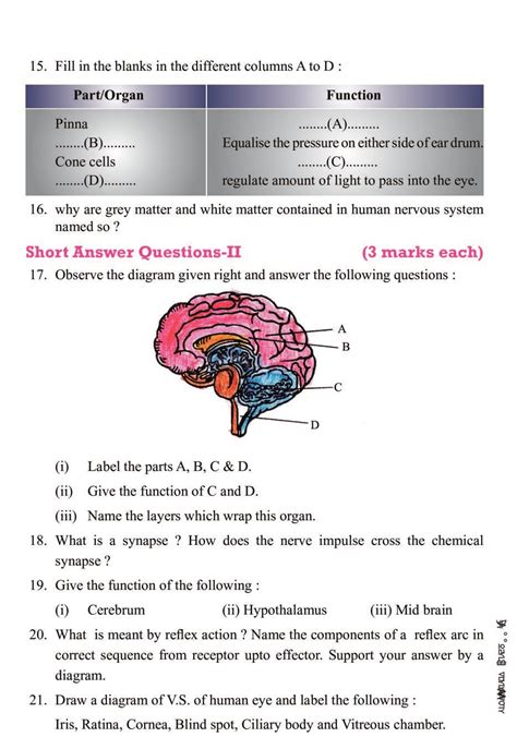 Neural Control And Coordination Class 11 Notes Pdf तंत्रिकीय