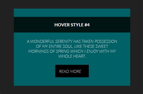 Different Ways To Write The Transitions And Transforms In Image Tag Using HTML CSS Part 2