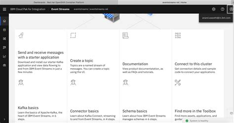 Setting Up IAM In Cloud Pak For Integration On IBM Cloud Using IBM Cloud IAM And LDAP Integration