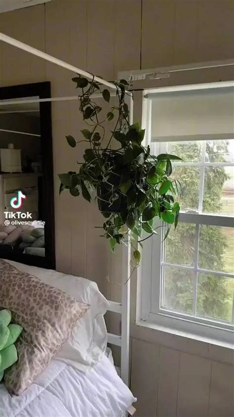 Both Mirror And Tv Reflection Scrolller