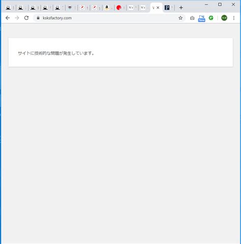 Wordpress サイトに技術的な問題が発生しています、に対処した時の記録（wp Security Audit Logをアップデートしたら