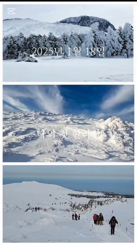 제주 사는 강릉이모ㆍ우아한 선 제주빙수 빙수맛집이많다 일년내내 빙수만 파는 전문점이 많다는게 신기했다 내가 살던 육지에서 빙수는 여름 한정메뉴 가 대부분 이었는데