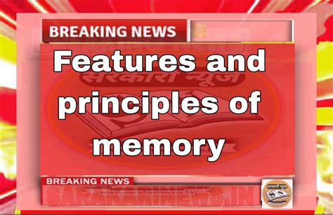 Features And Principles Of Memory