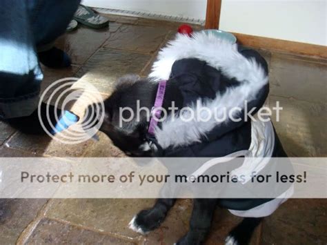 Elbie Rocking His New Look