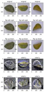 Image Augmentation With Keras Preprocessing Layers And Tf Image MachineLearningMastery