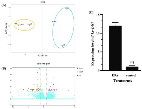 Principal Component Analysis Pca Of The Transcriptome Identification