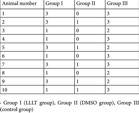 Semiquantitative Scoring System For Neovascularization In Tendons Download Scientific Diagram