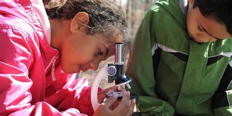 Purposeful And Effective Practical Work In Primary School Science Nuffield Foundation