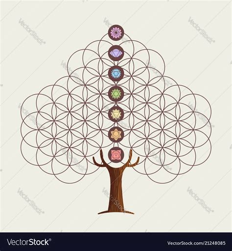 Chakra Tree Of Life Craibas Al Gov Br
