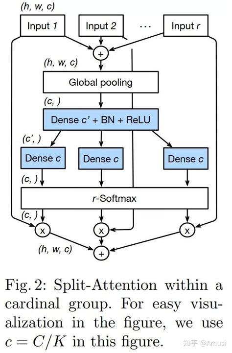 Resnet最强改进版来了！resnest：split Attention Networks 知乎