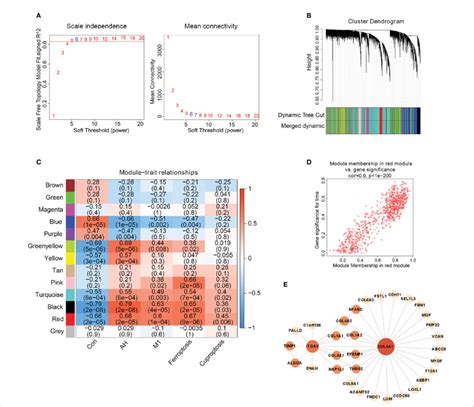 Hub Gene Screening Based On Wgcna A Scale Free Fitting Index