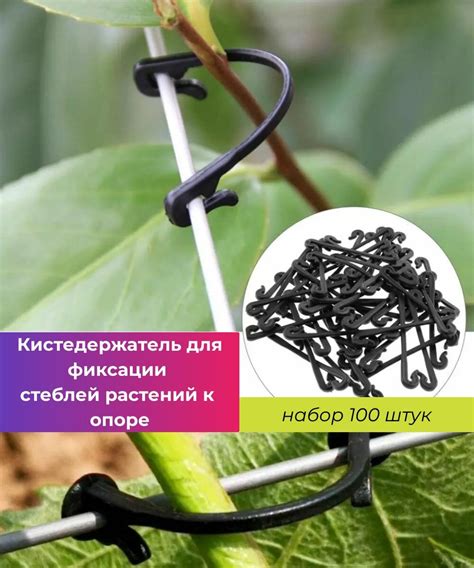 Клипсы для подвоя растений — купить по низкой цене на Яндекс Маркете