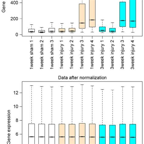 the boxplots for microarray data prior and subsequent to normalization