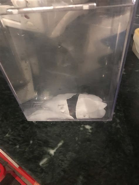 Any Idea If I Can Fix This R Nespresso