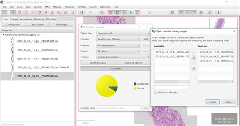 training classifier with multiple training images image analysis