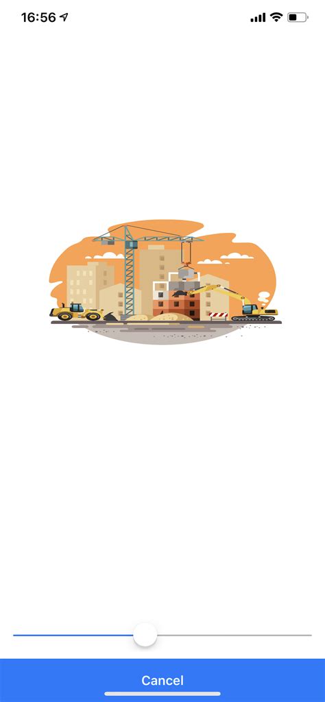 Animation Doesn T Load Issue Airbnb Lottie Ios GitHub
