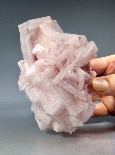 Ss Rocks Pink Halite Searles Lake California 360g 4622850810