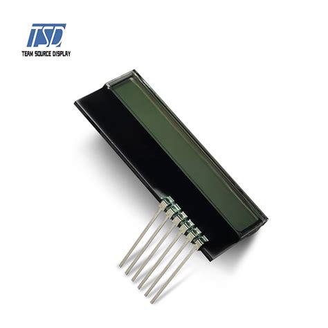 Mono Lcd Segment Lcd With Pin Connection Segment Lcd And Mono Lcd Price